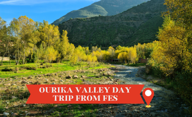 Day trip from Marrakech to Ourika Valley - ModTour